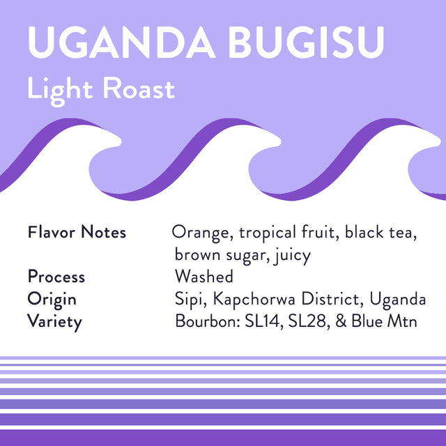 Uganda - Bugisu – Three Waves Coffee